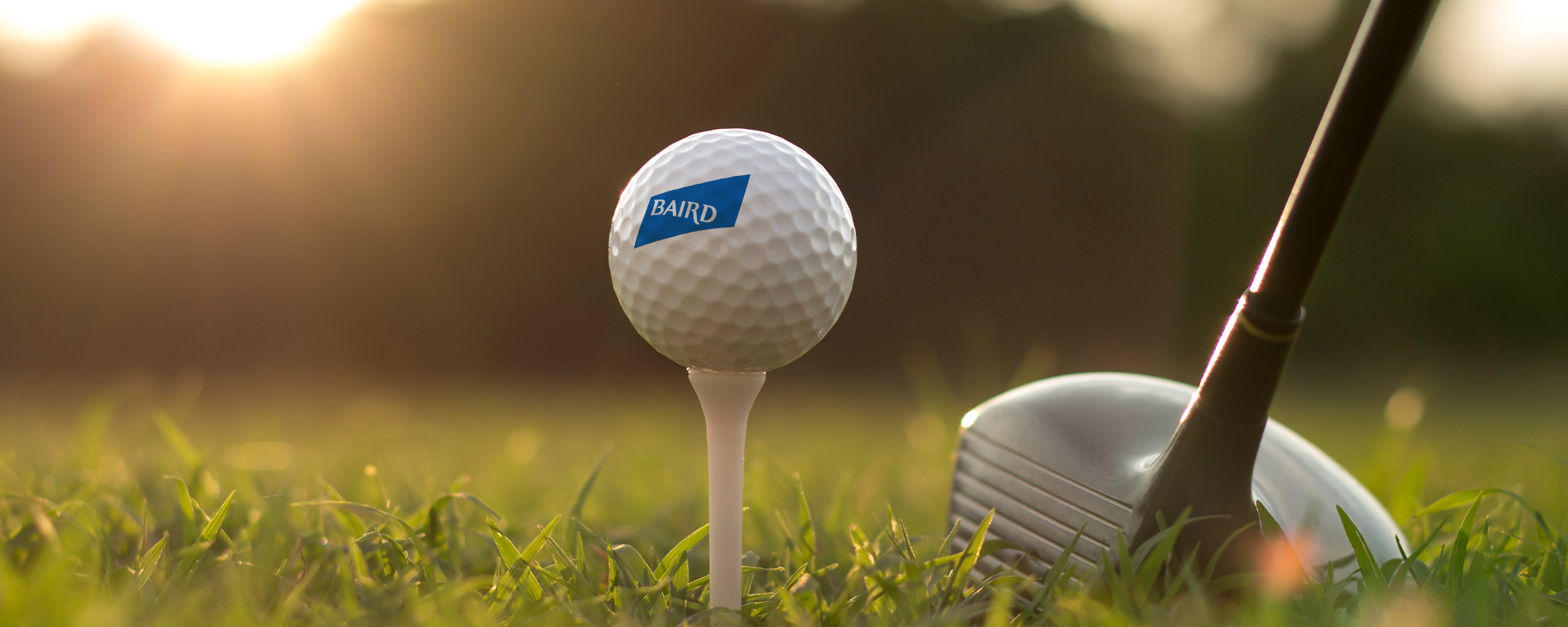 Discover the Difference | Baird